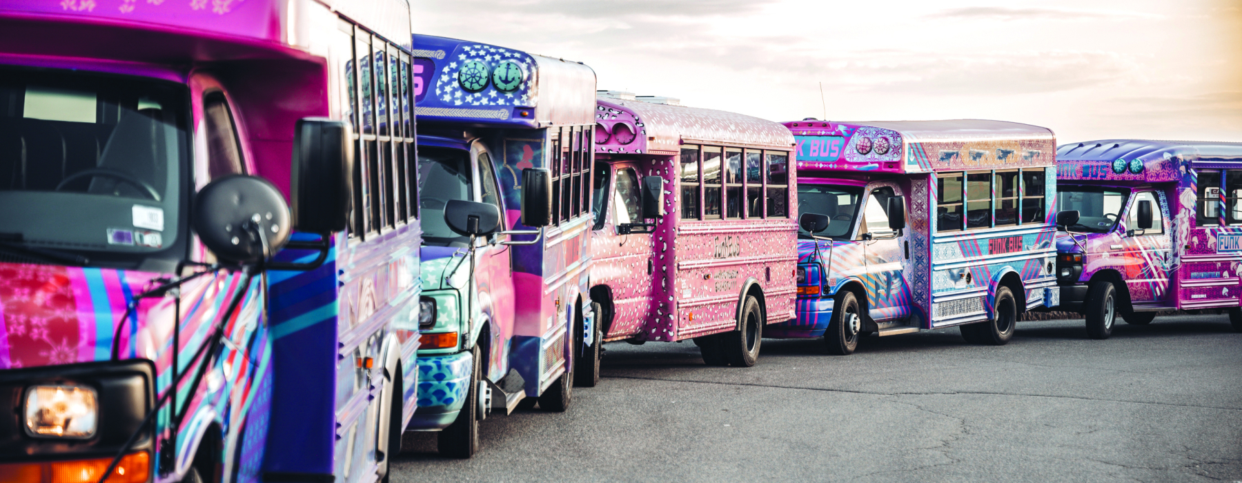 Homepage - Cape Destinations